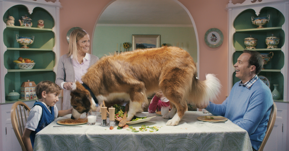 Park Pictures - Geico Wins Best Online Ad at Shots Awards